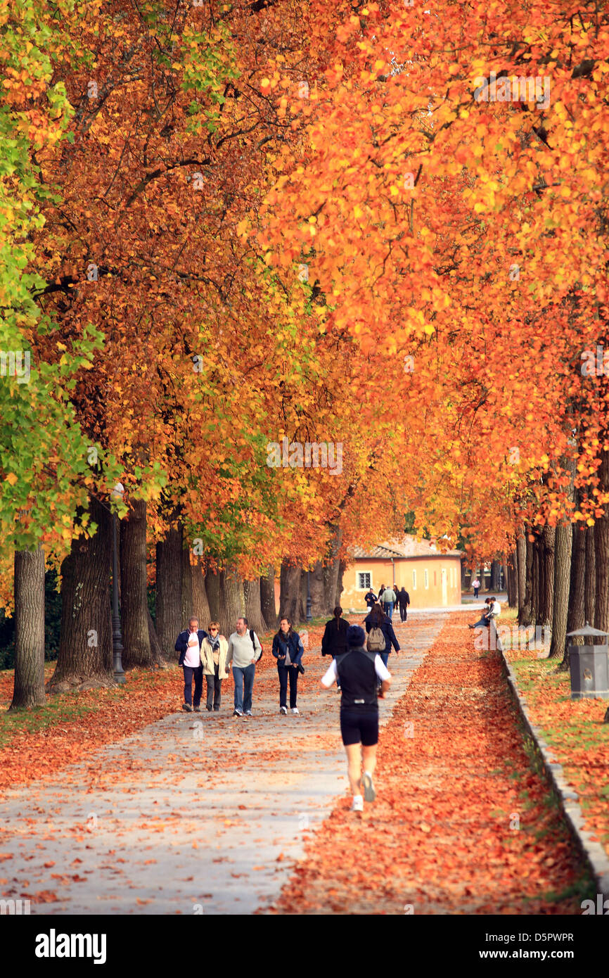 Italy,Tuscany,Lucca, walk on the walls in autumn Stock Photo - Alamy