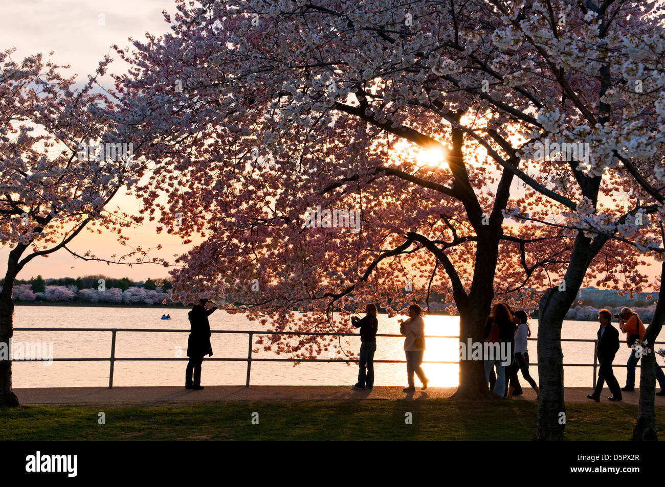 Spring sunset tidal basin dc hi-res stock photography and images - Alamy