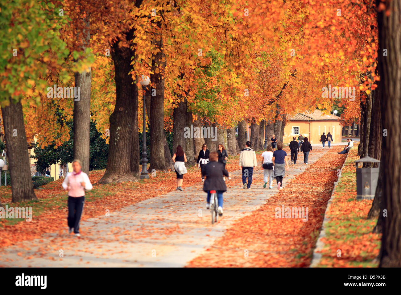 Italy,Tuscany,Lucca, walk on the walls in autumn Stock Photo - Alamy