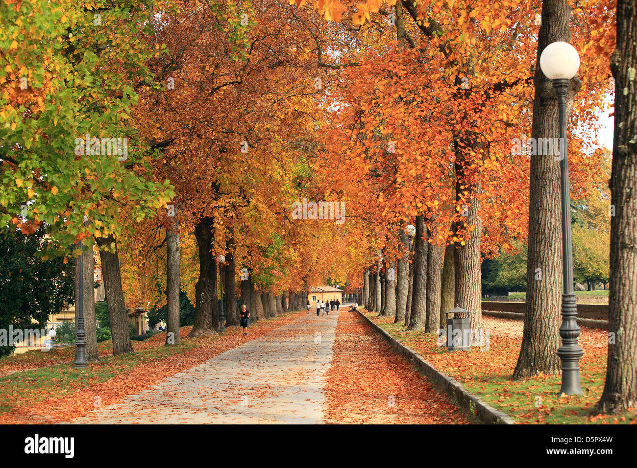 Italy,Tuscany,Lucca, walk on the walls in autumn Stock Photo - Alamy