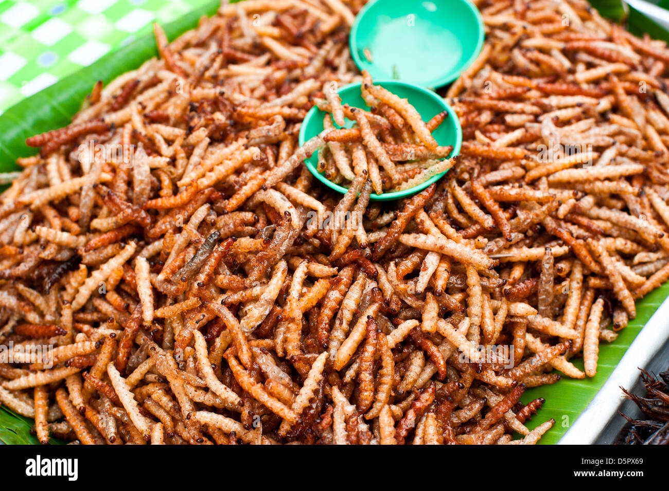 Fried insects hi-res stock photography and images - Alamy