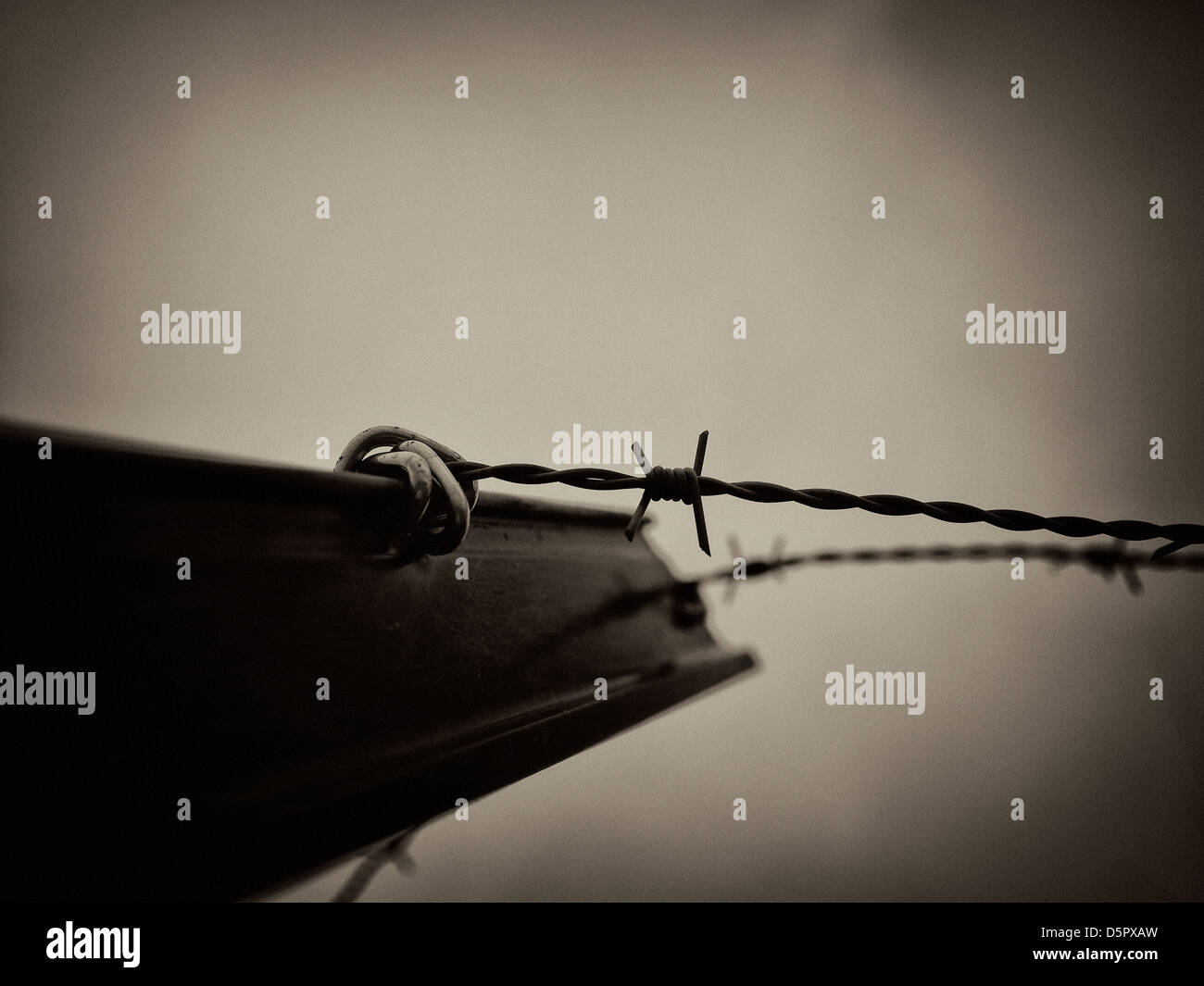 Fence post with barbed wire in a monochrome implementation Stock Photo ...
