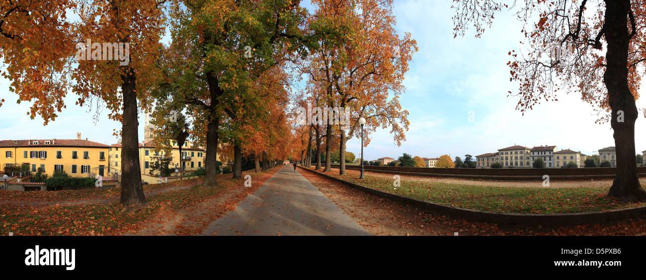 Lucca walls hi-res stock photography and images - Alamy