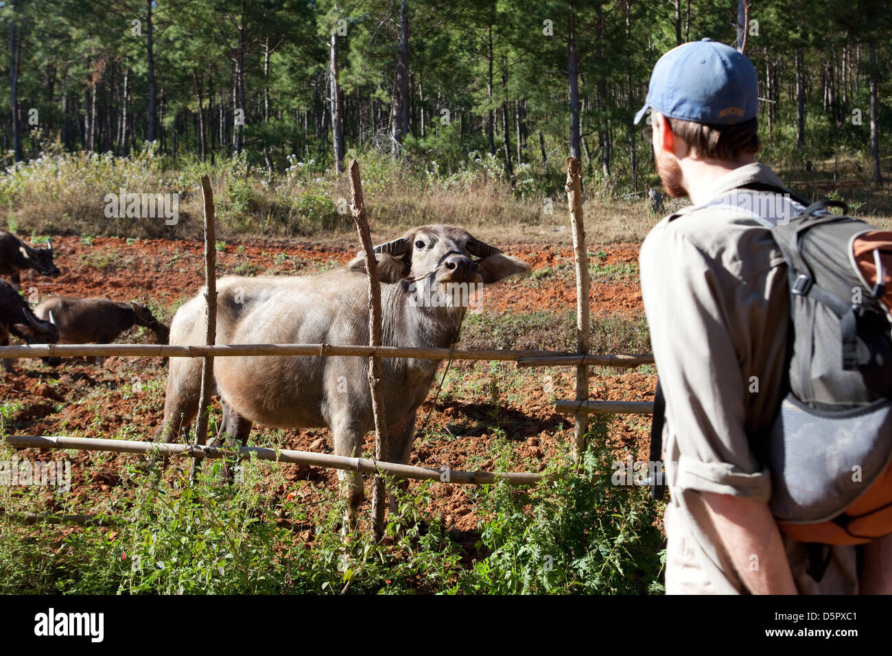 People of Myanmar (Burma Stock Photo - Alamy