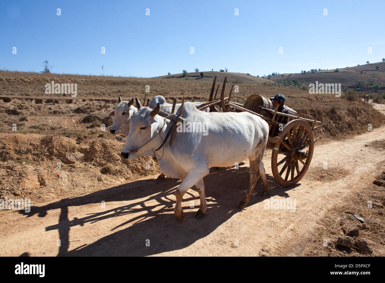Burmese transport hi-res stock photography and images - Alamy