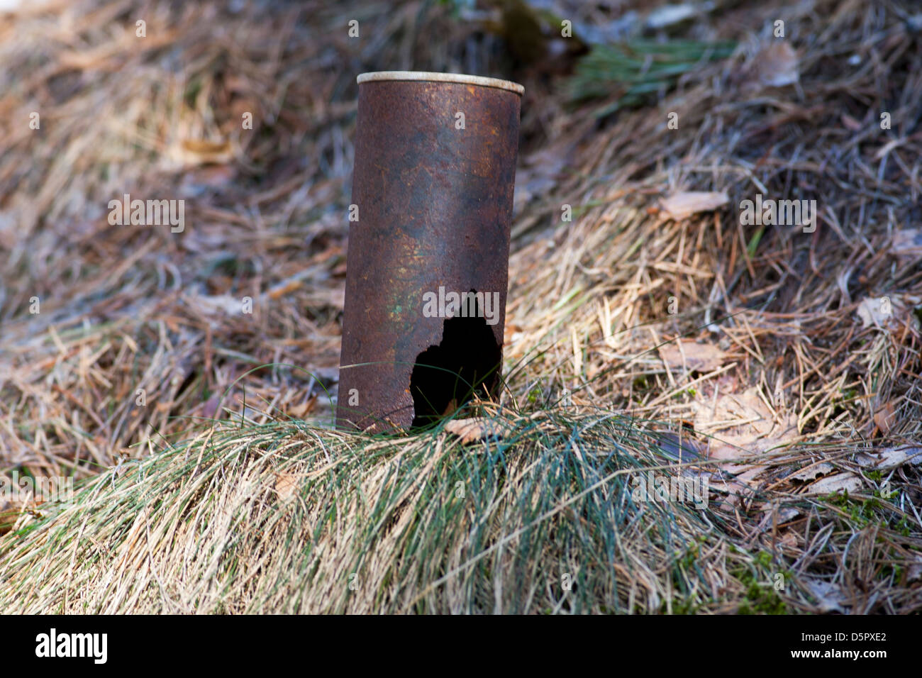 Rusty beer can in the woods Stock Photo - Alamy