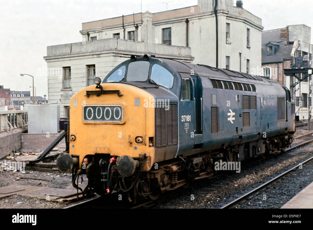 class 37 diesel locomotive 37181 Stock Photo - Alamy