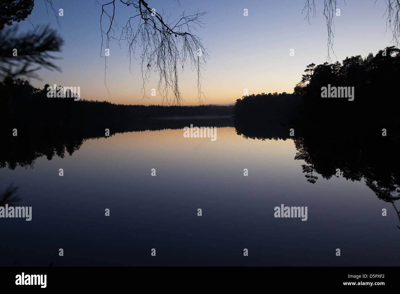 Swedish summer hi-res stock photography and images - Alamy