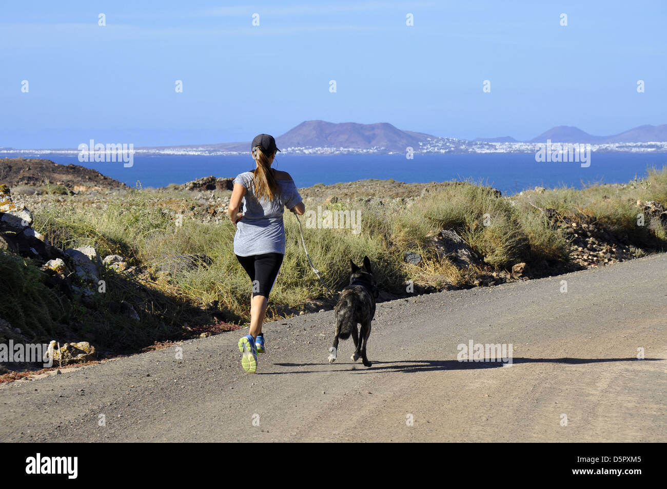 Dog running alongside hi-res stock photography and images - Alamy
