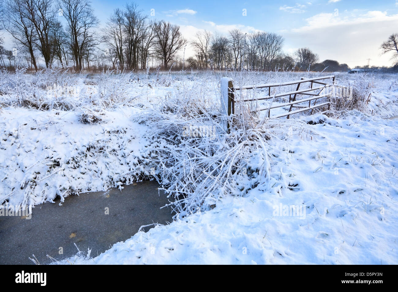 winter with many snow on Dutch farmland Stock Photo - Alamy