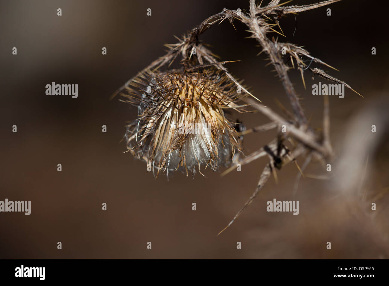 Unsightly hi-res stock photography and images - Alamy