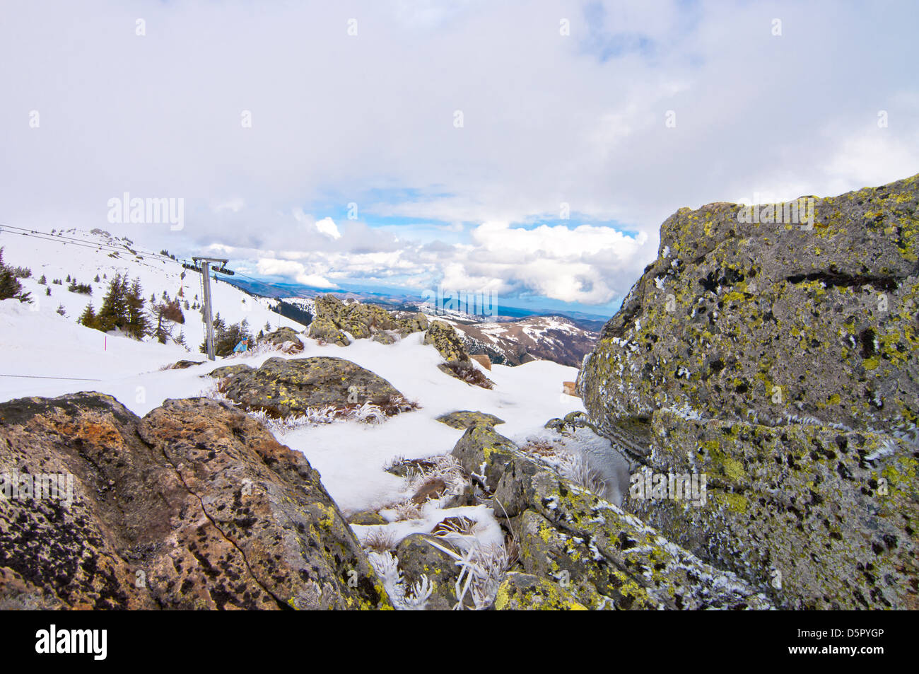 Moss stone and snow spruces on the hills of ski resort Kopaonik, Serbia ...