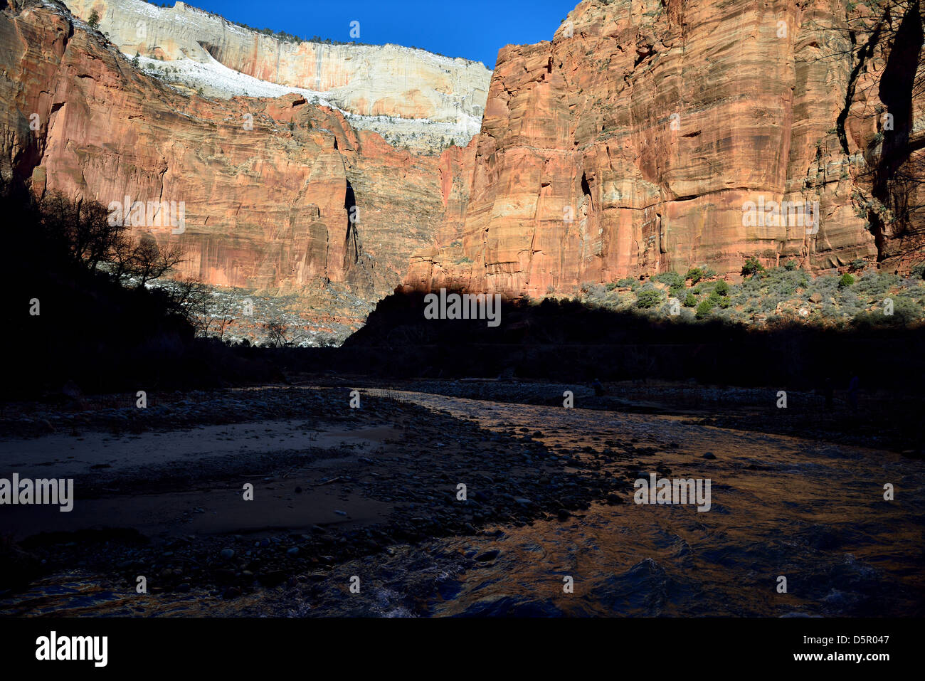 Virgin River runs at the base of red sandstone cliff along Zion Canyon ...