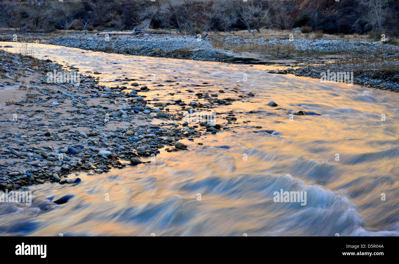 The Virgin River reflects pink light from red sandstone cliff. Zion ...