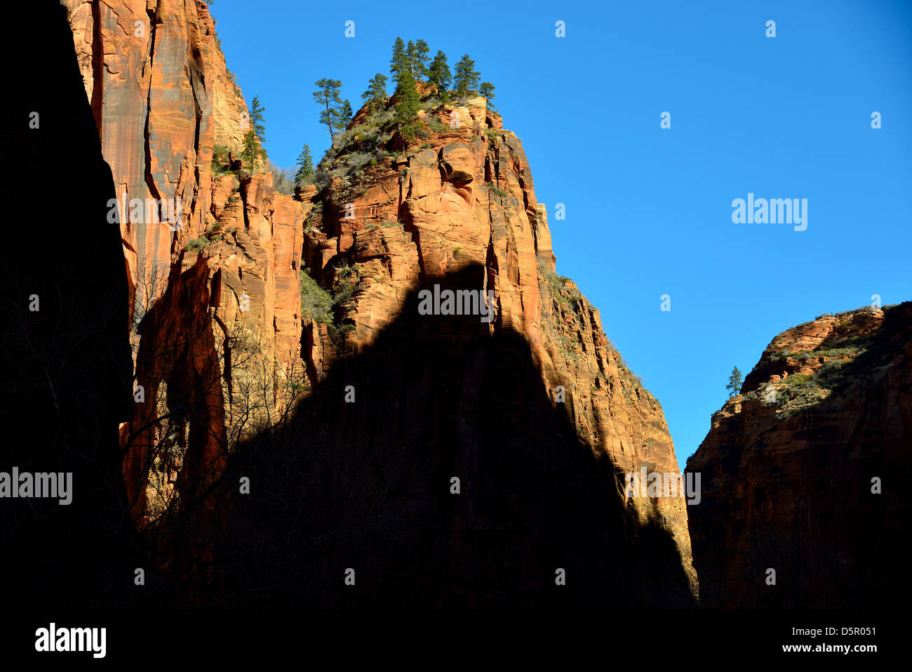 Shadow falls on red sandstone cliff. Zion National Park, Utah, USA ...