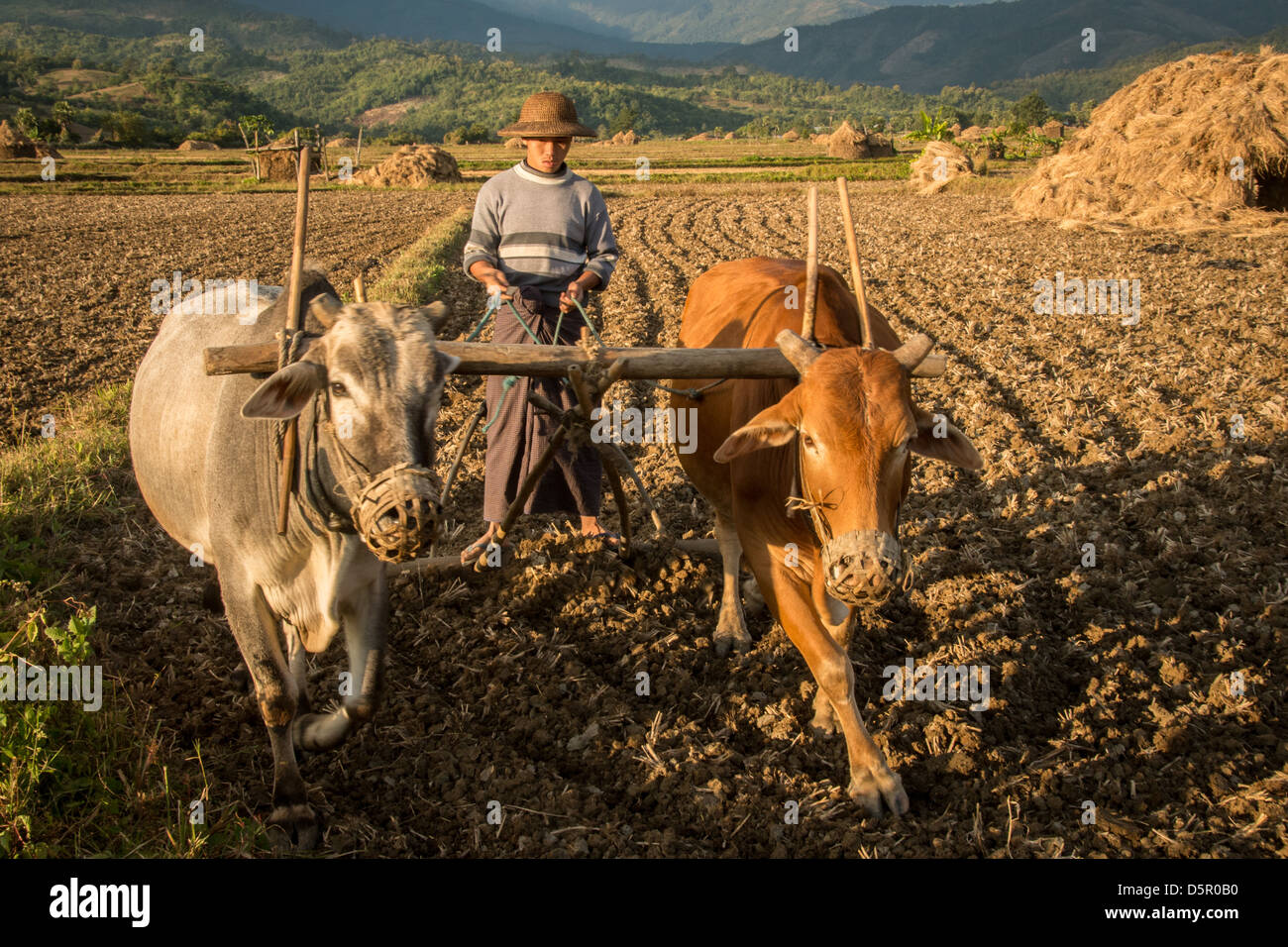 Plow man hi-res stock photography and images - Alamy
