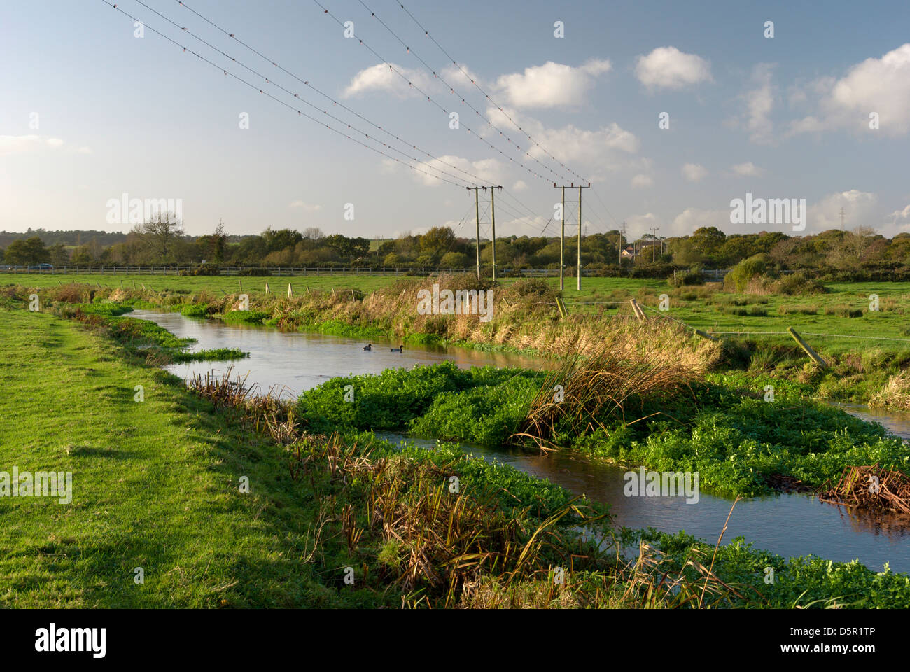 Wareham common hi-res stock photography and images - Alamy