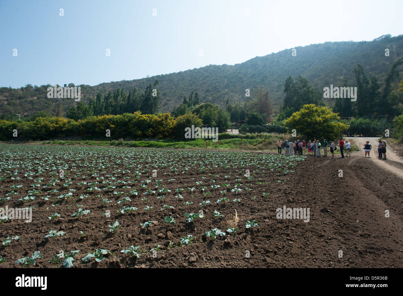 Rural farm produce santiago hi-res stock photography and images - Alamy