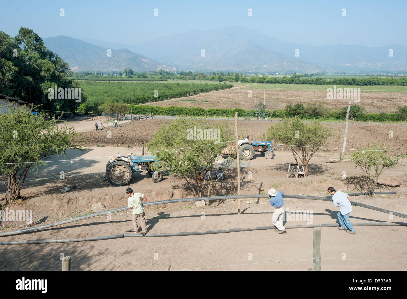 Farmers working land on a produce farm Curacavi Valley in Chile Stock ...
