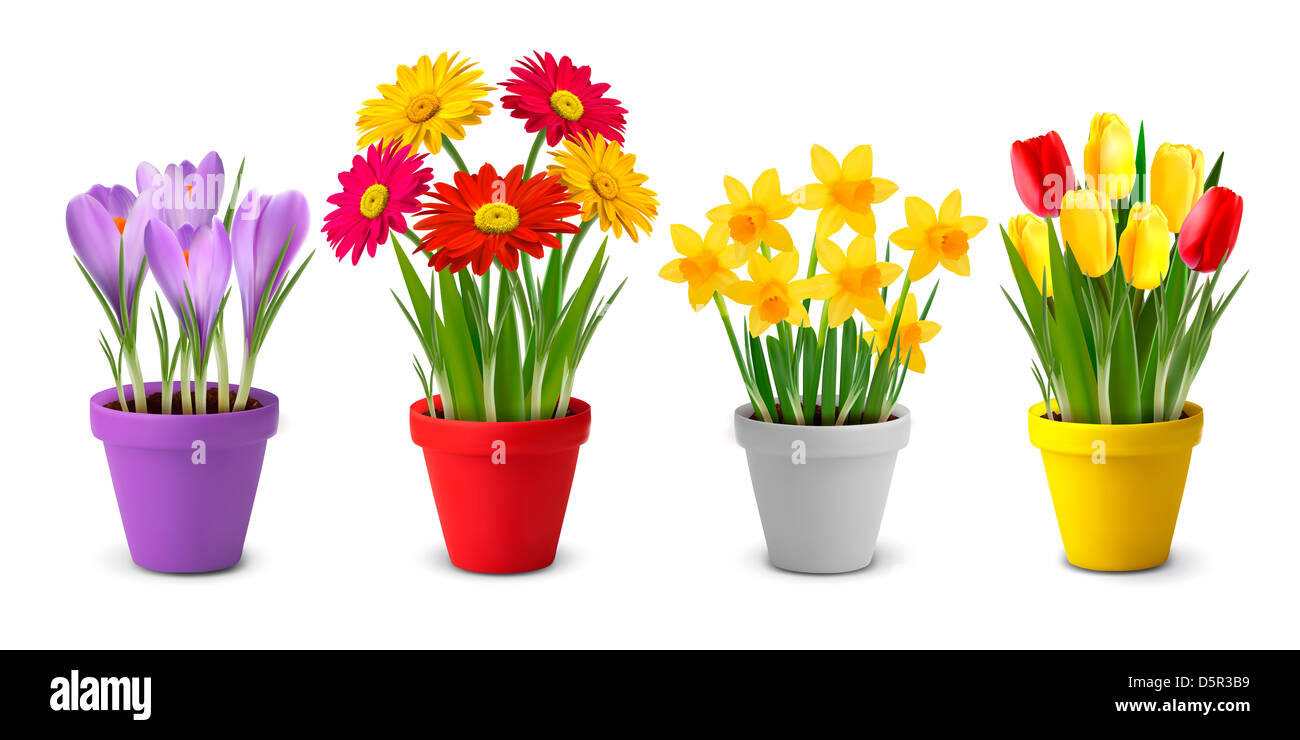 Collection of spring and summer colorful flowers in pots and watering ...