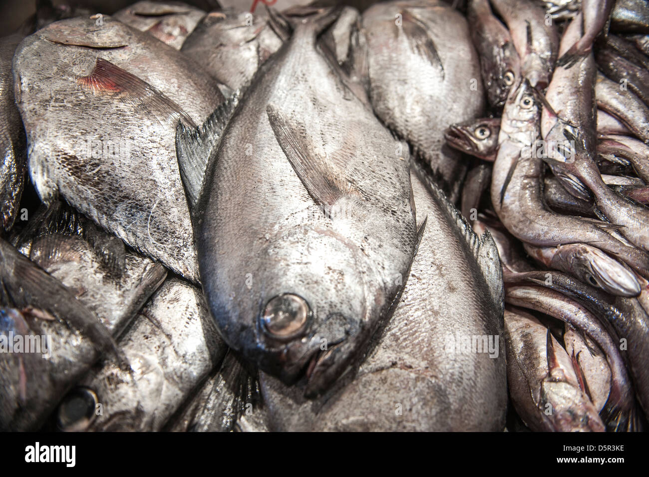 Mercado Central, one of Chile’s largest fresh seafood markets Santiago ...
