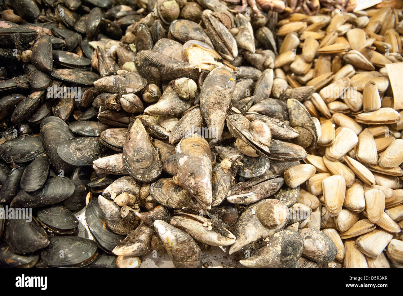 Mercado Central, one of Chile’s largest fresh seafood markets Santiago ...