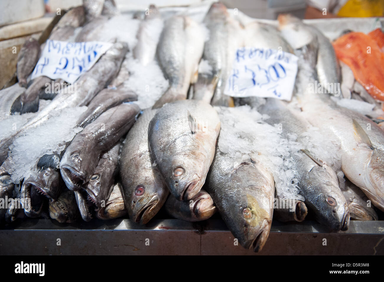 Mercado Central, one of Chile’s largest fresh seafood markets Santiago ...
