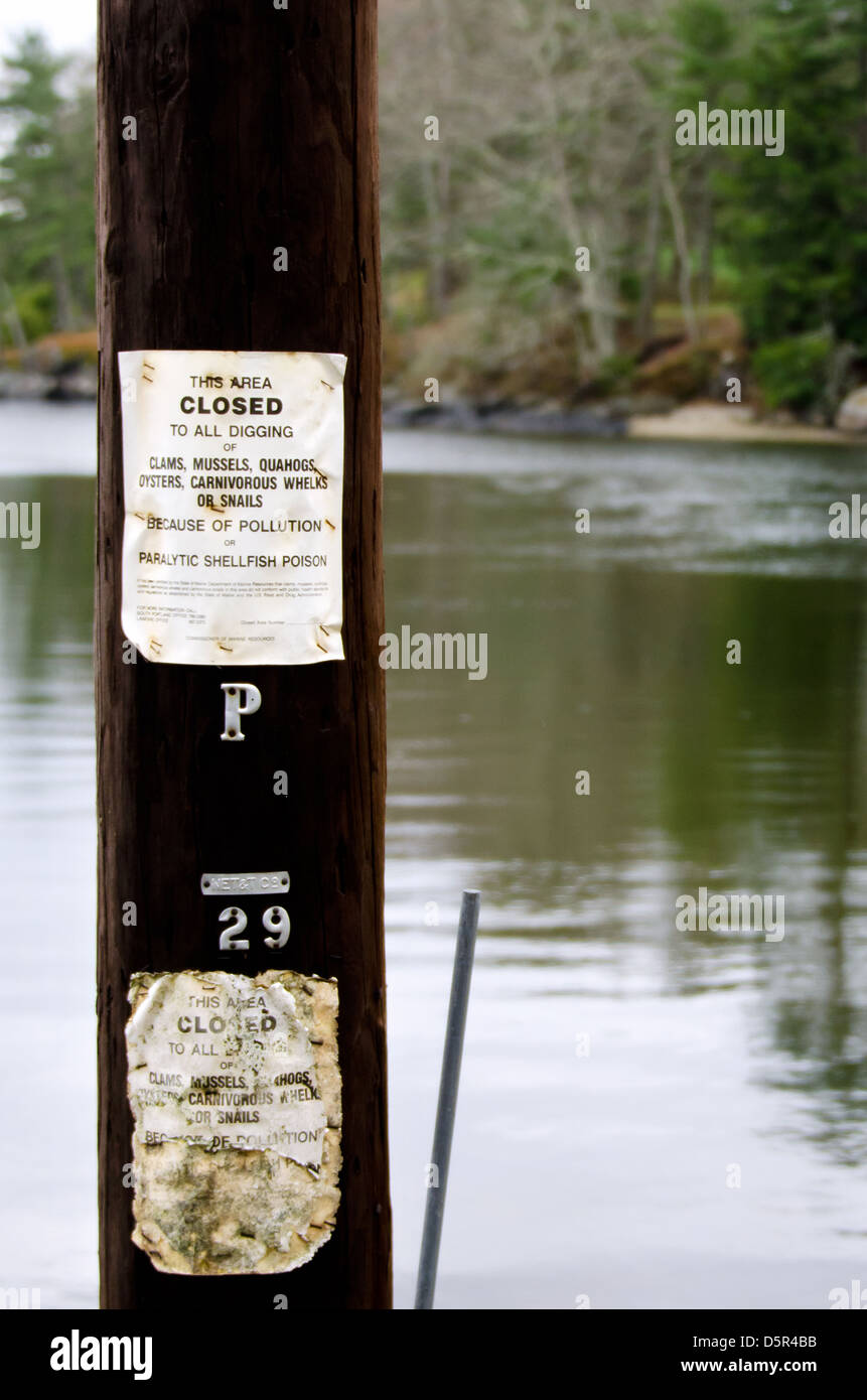 Clam harvesting hi-res stock photography and images - Alamy