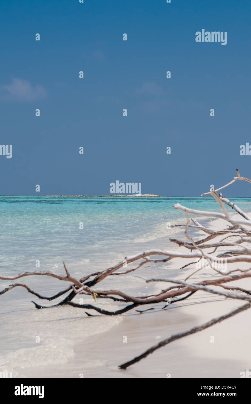 Sicilian roots hi-res stock photography and images - Alamy