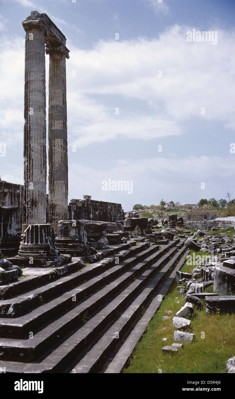 Standing columns at temple to Apollo at Didyma, Turkey 690418 020 Stock ...