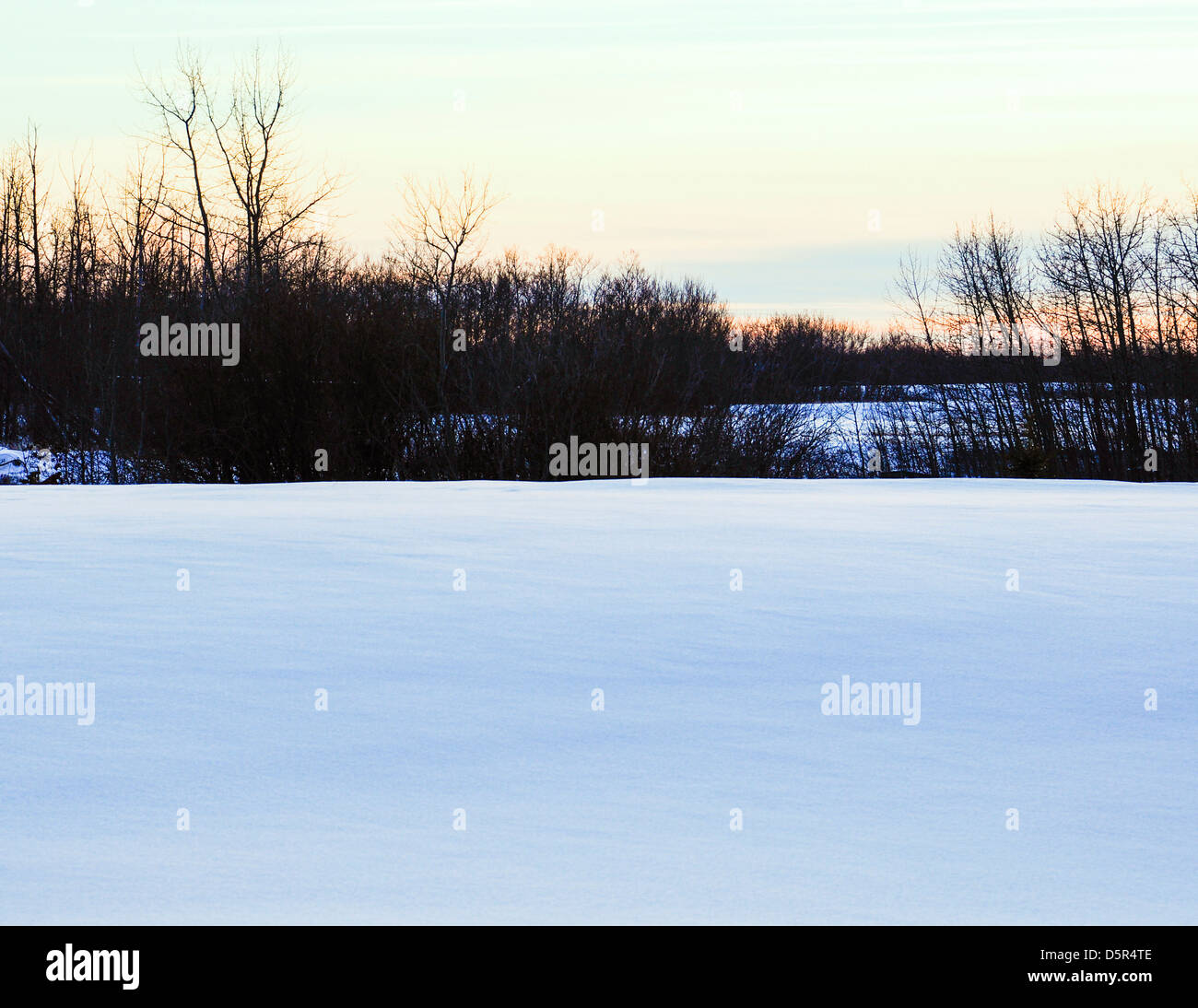 Winter Snow on the Alberta Prairie Stock Photo - Alamy