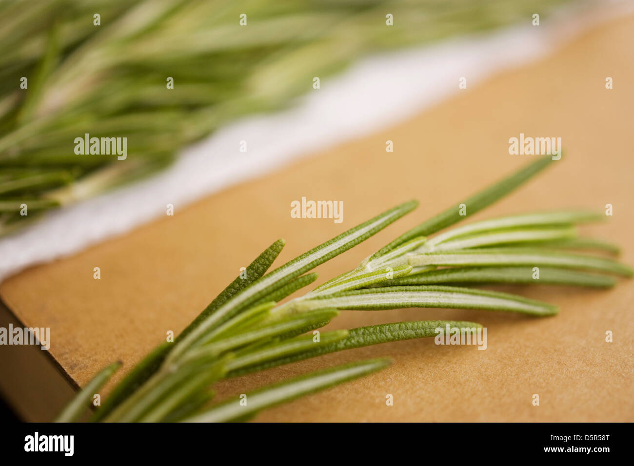 A bunch of fresh rosemary Stock Photo - Alamy
