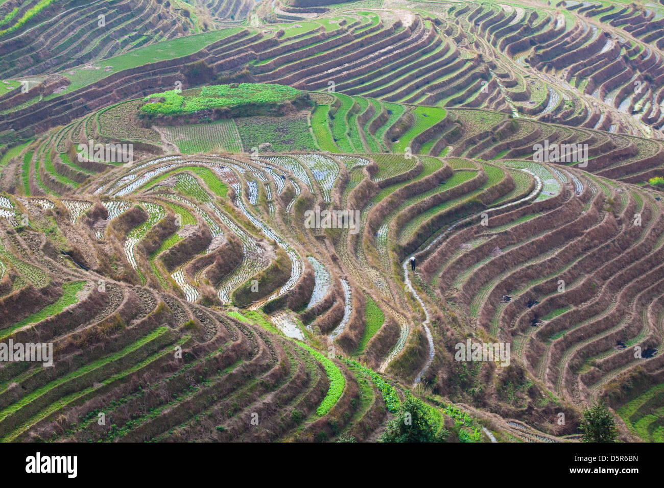 Longji Rice terraces, Ping An Stock Photo - Alamy