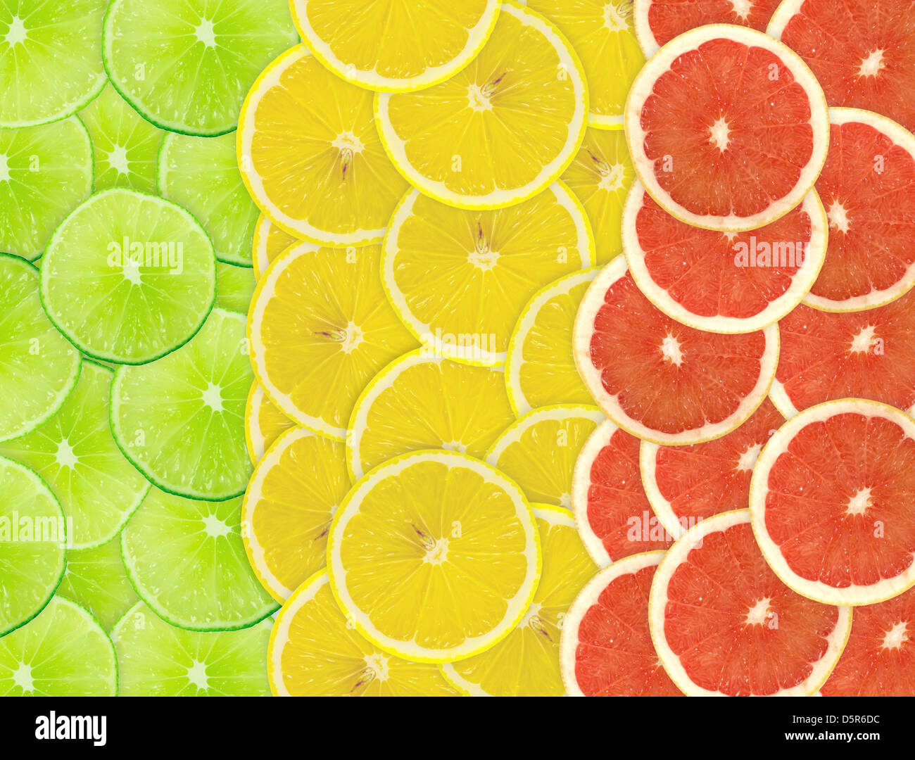Abstract background of citrus slices. Closeup. Studio photography Stock ...