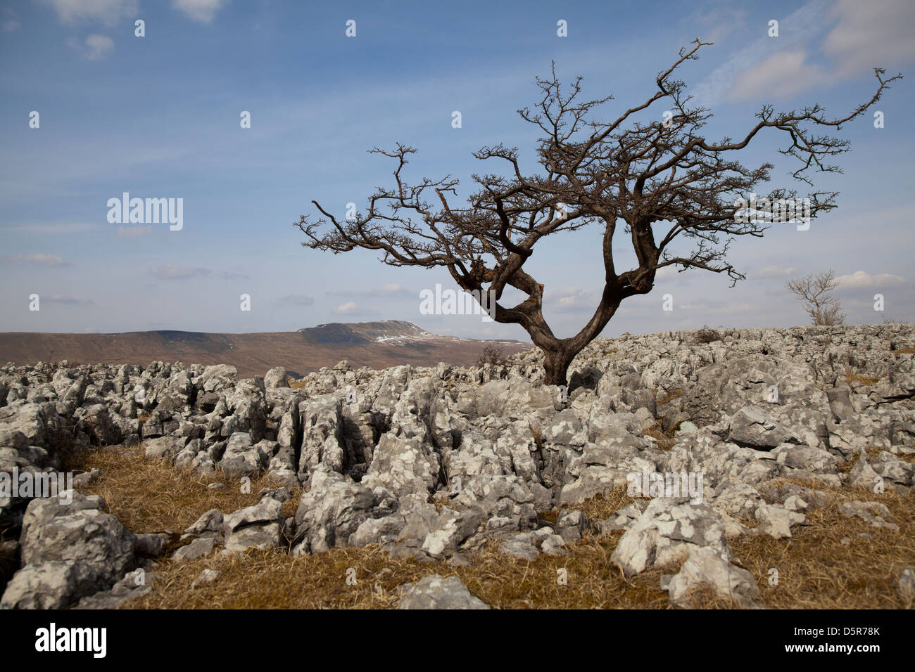 Whernside is a mountain in the Yorkshire Dales and is one of the ...