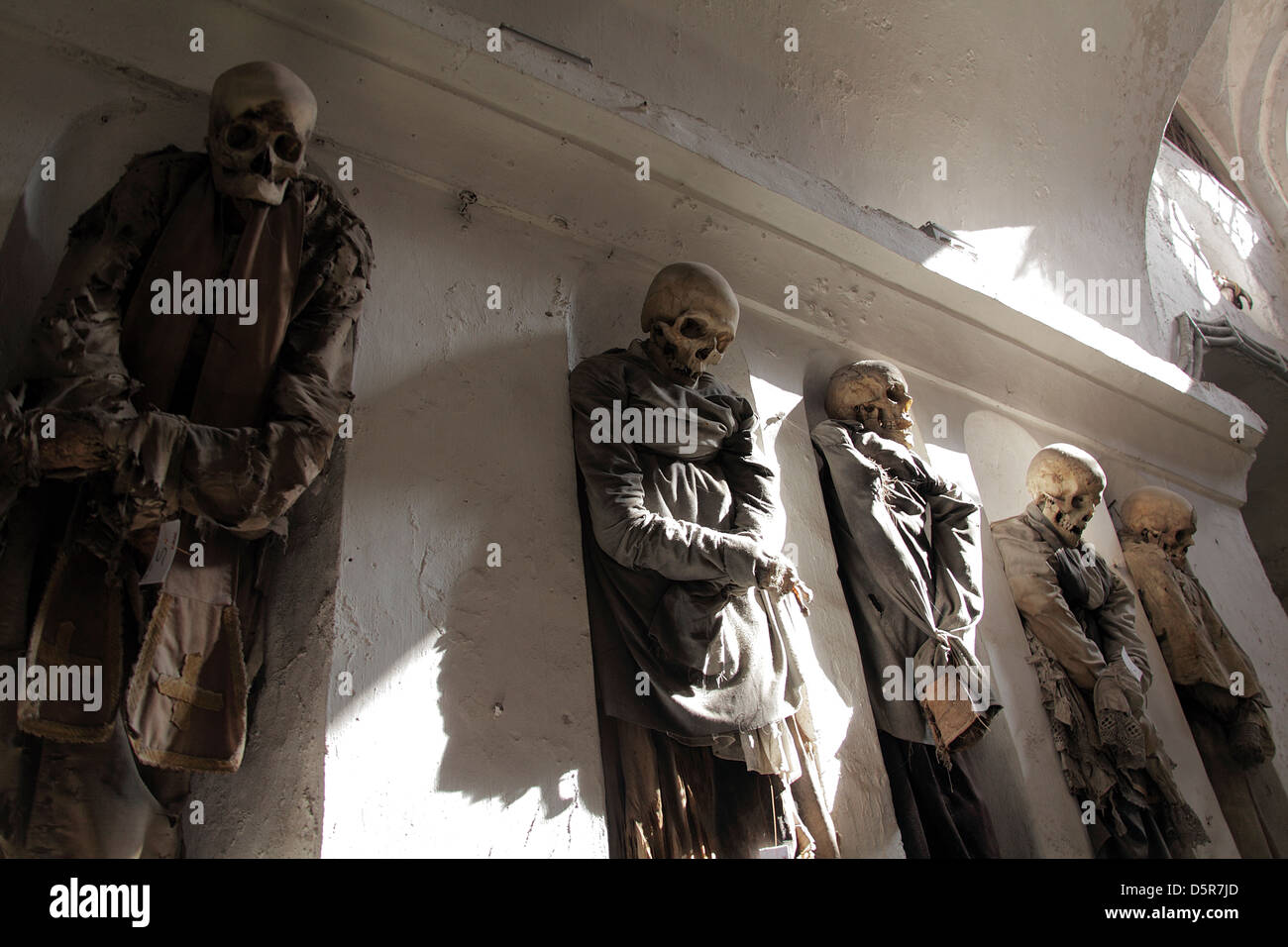 Over 8000 mummified corpses of the clergy hi-res stock photography and ...