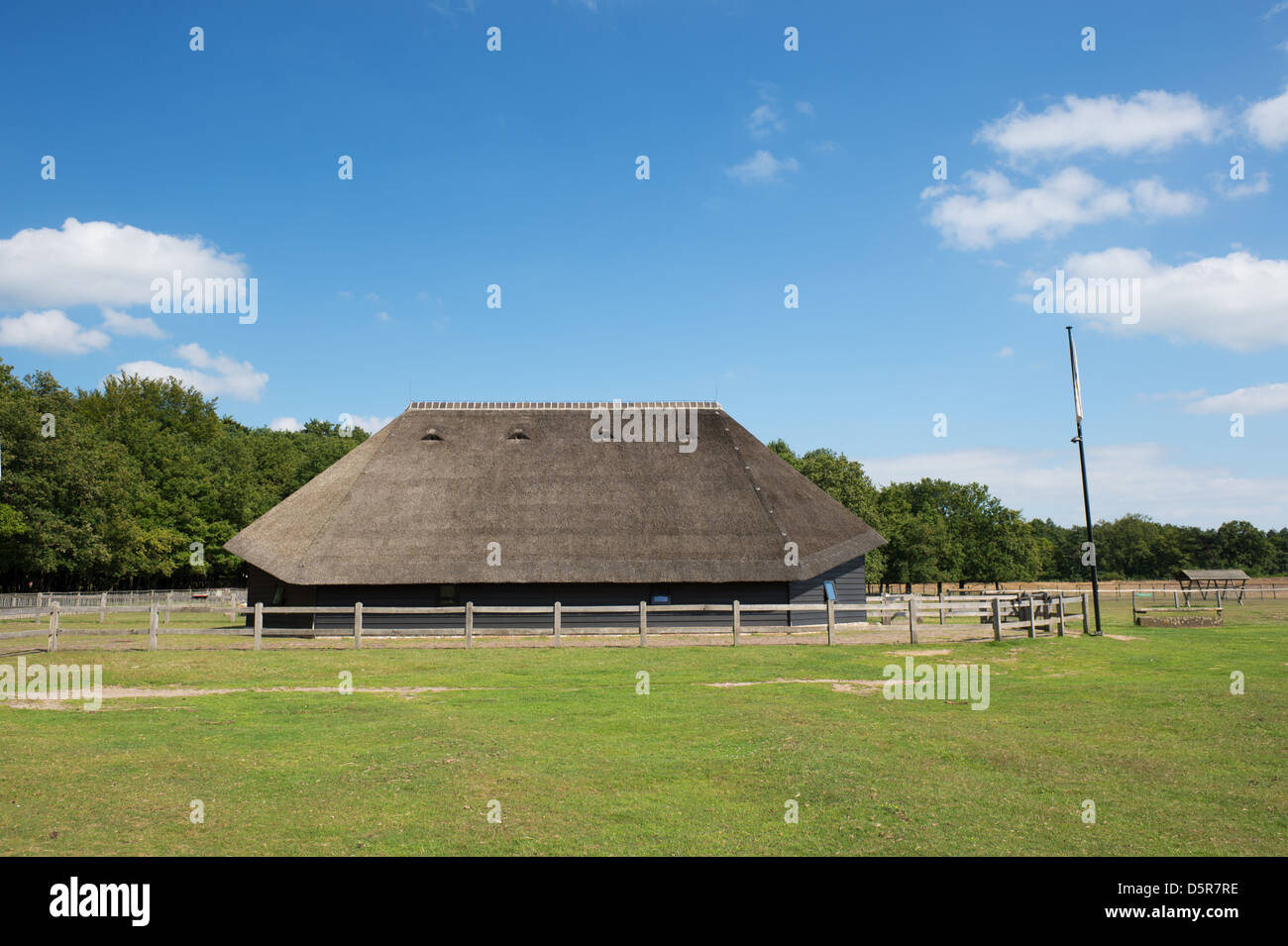 Classic Dutch barn for sheep in Holland Stock Photo - Alamy