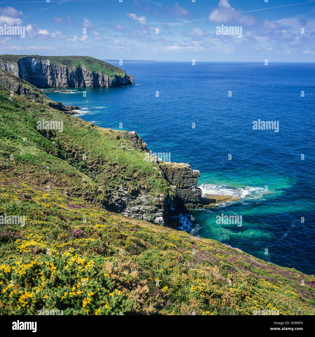 Moor and cliffs and English Channel Frehel cape Brittany France Stock ...