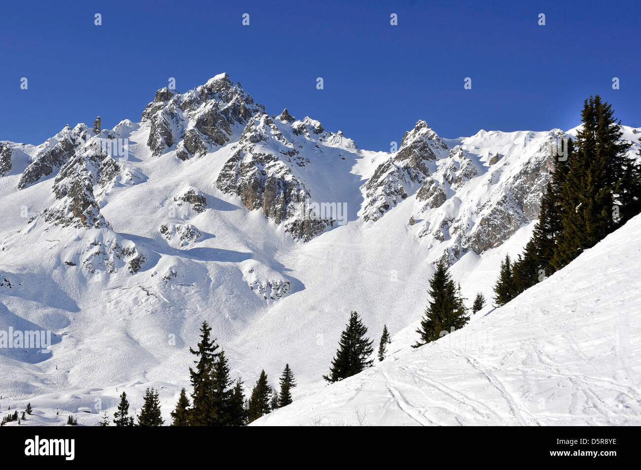 Trees mountain in french alps hi-res stock photography and images - Alamy