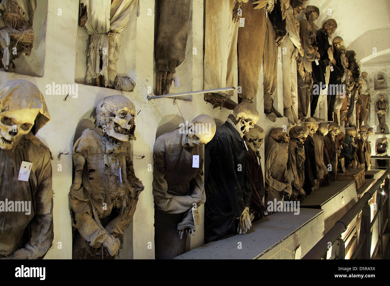Mummified corpses in the Convento dei Cappuccini in Palermo Sicily ...