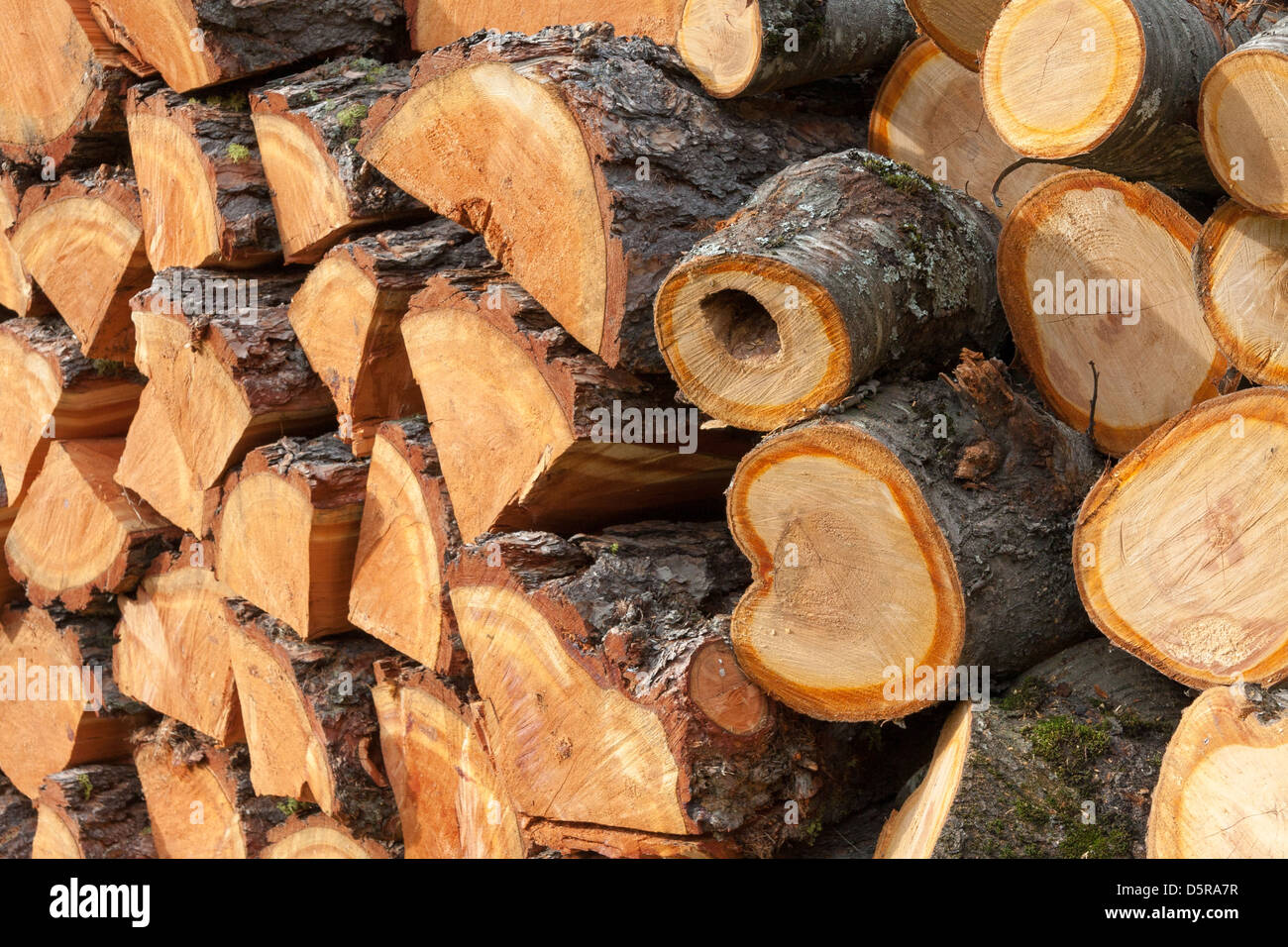Stack of logs Stock Photo - Alamy