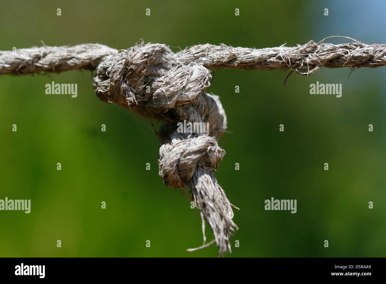 A worn rope knot Stock Photo - Alamy