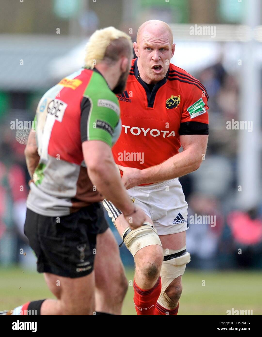 Twickenham, UK. 7th April 2013. Paul O'Connell of Munster Rugby in ...