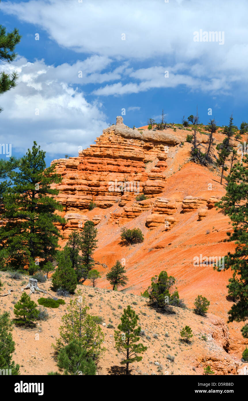 Red Canyon National Park in Utah in the United States of America Stock ...