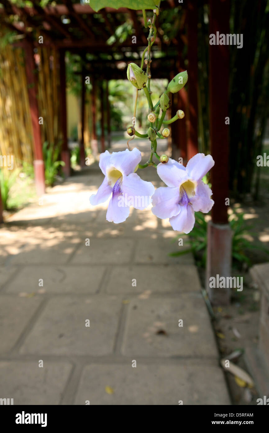 Jued hi-res stock photography and images - Alamy