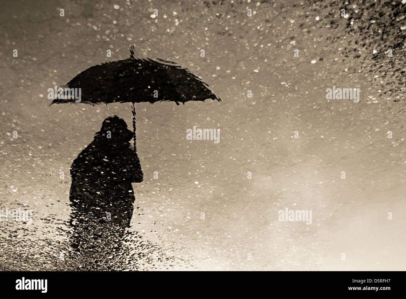 A man walking through the rain with an umbrella, reflected in a puddle ...