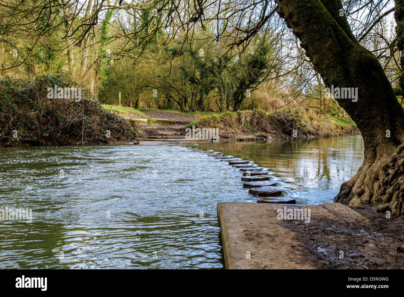 Stepping stones river mole hi-res stock photography and images - Alamy