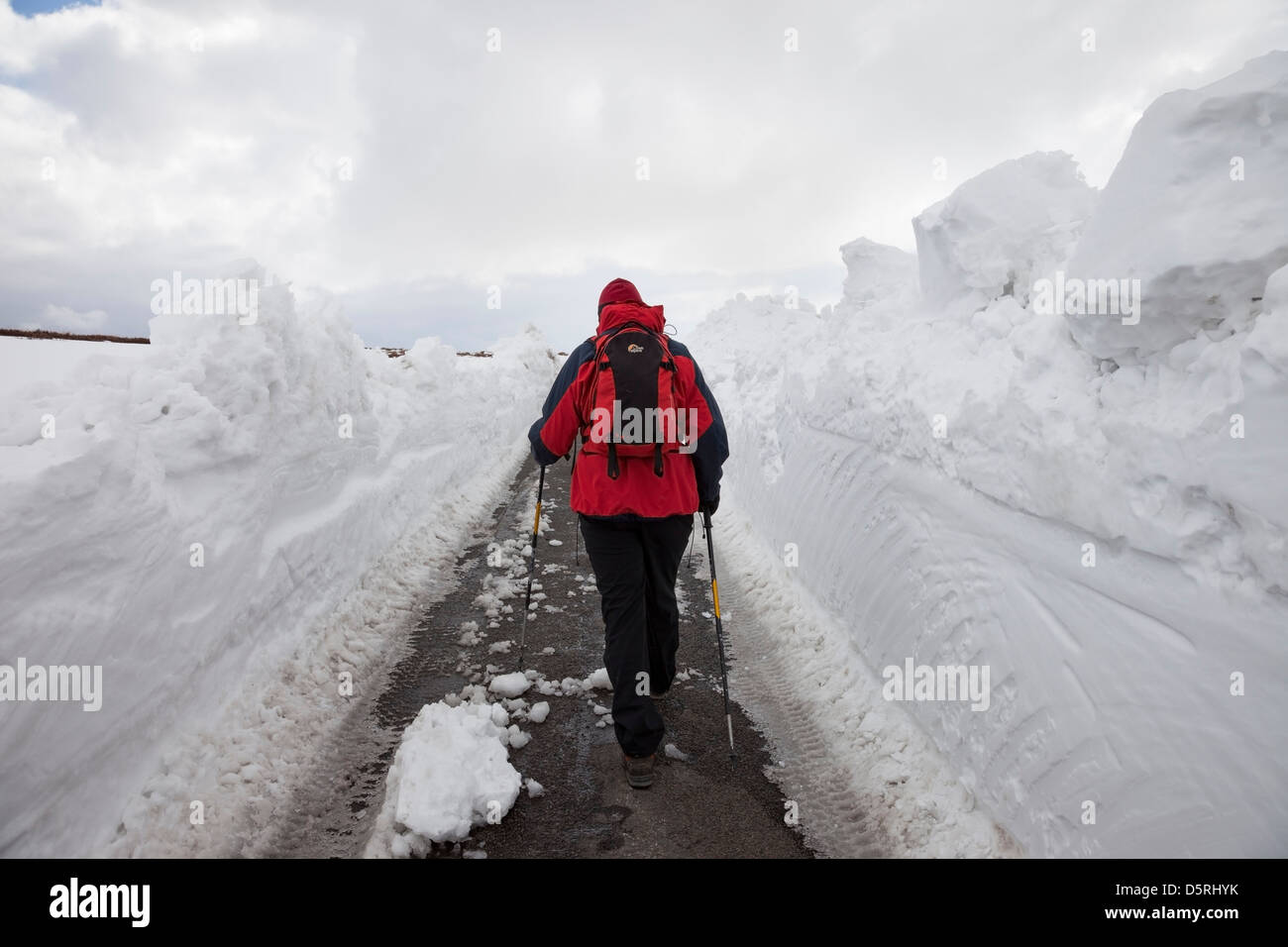 Person Walking between walls of snow on the road alongside Cow Green ...
