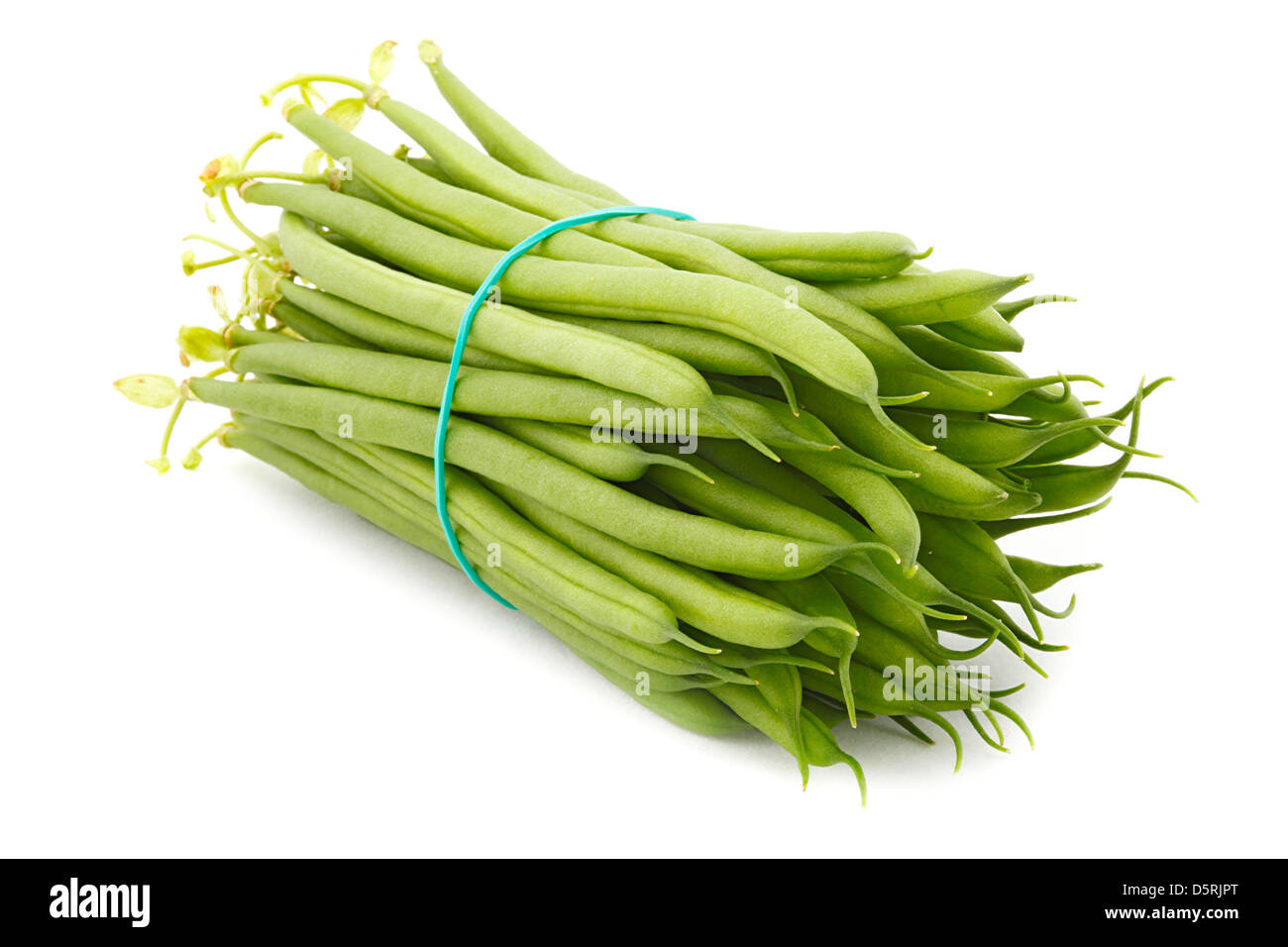 French beans plant hi-res stock photography and images - Alamy