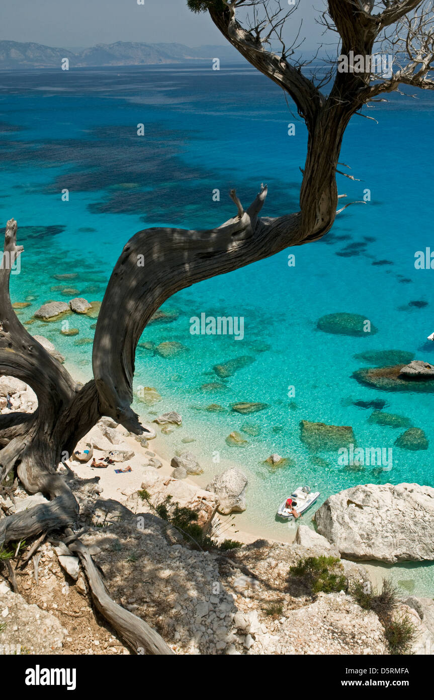 Juniper beach hi-res stock photography and images - Alamy